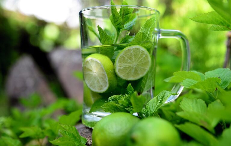 Discover Optimal Recovery Options: Why You Should Consider Detox ...