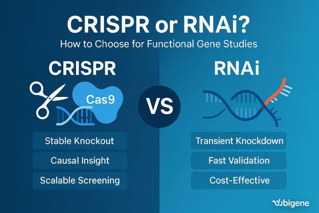 CRISPR or RNAi? How to Choose for Functional Gene Studies